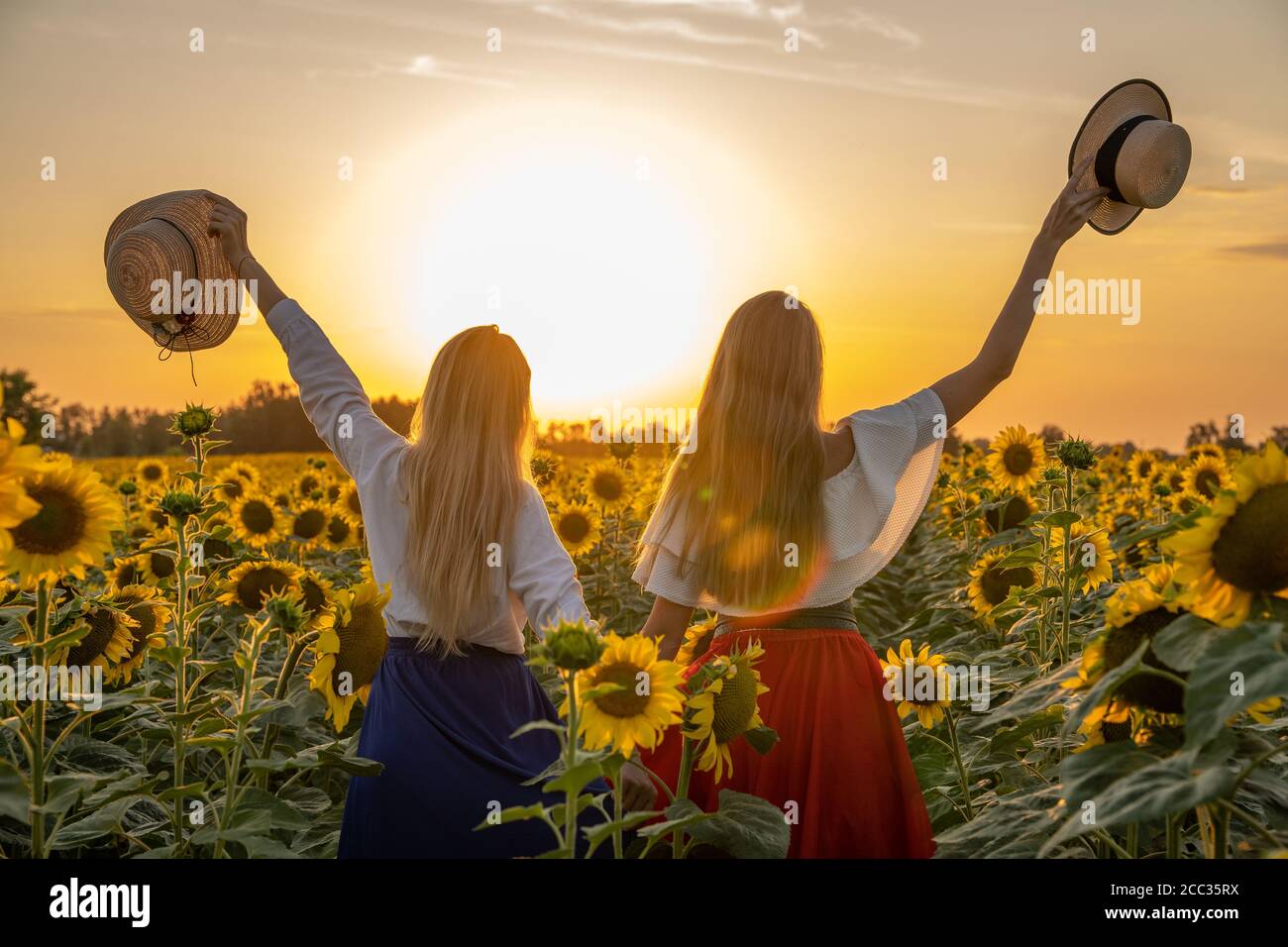 Girls in sunflower field hi-res stock photography and images - Alamy