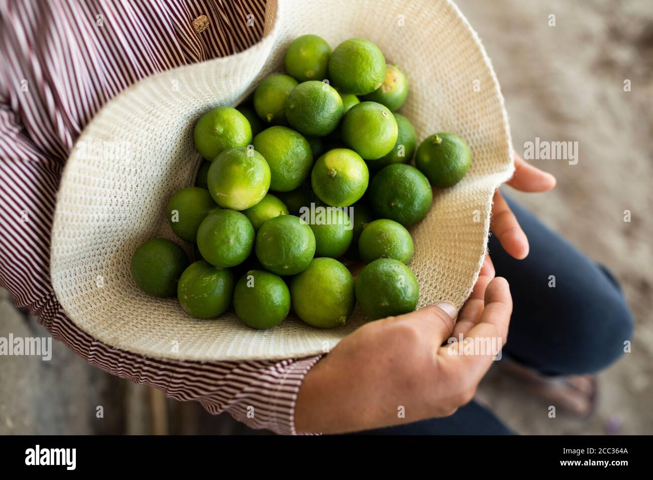Peru woman agriculture fruit hi-res stock photography and images - Alamy