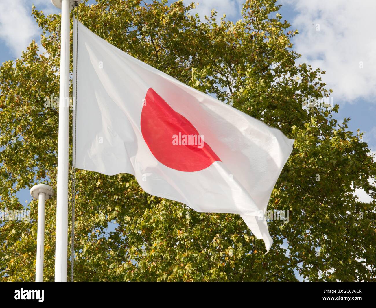 japan flag in the wind in front of nature in summer Stock Photo - Alamy