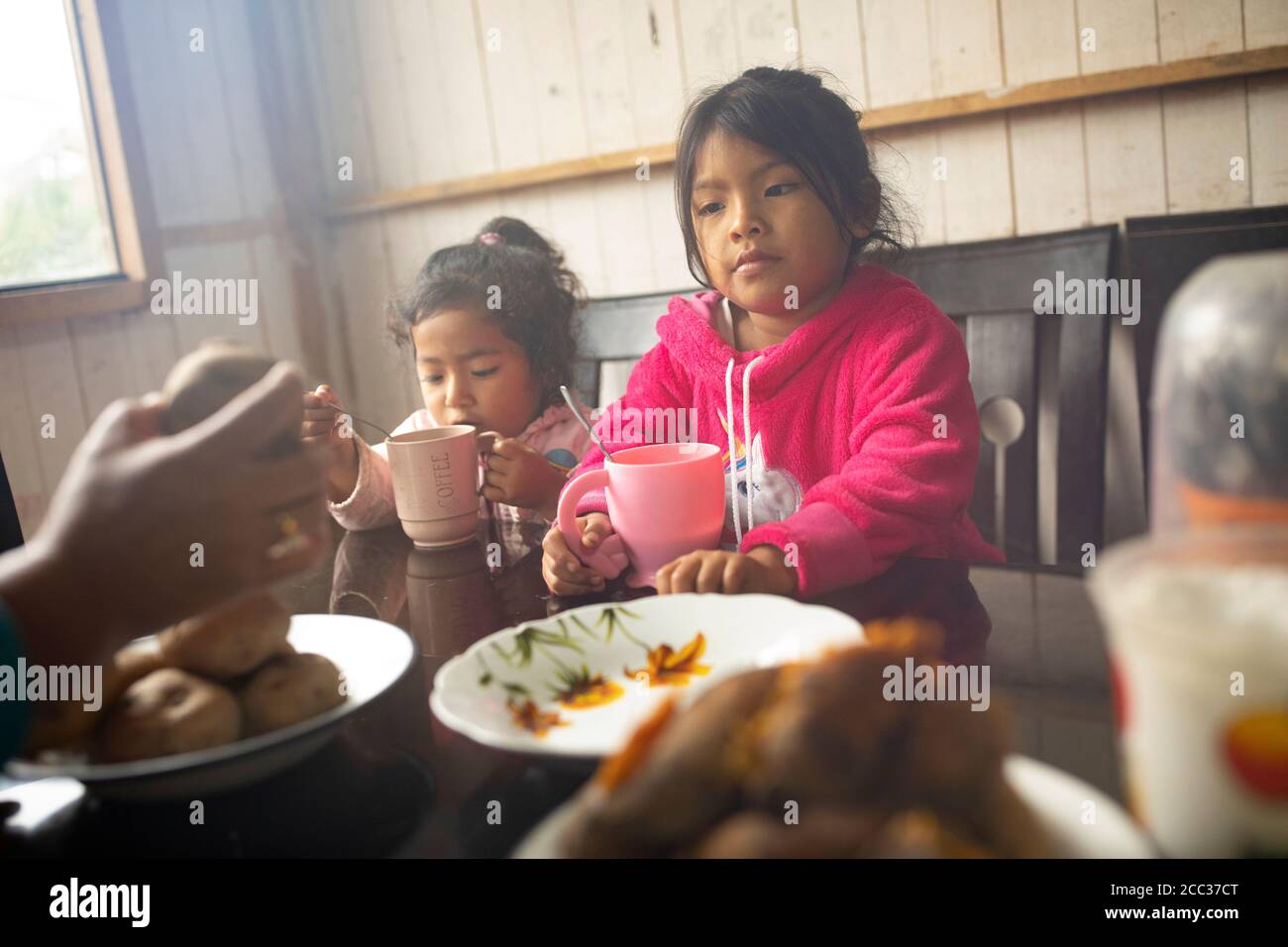 Sisters in a family sit down for breakfast together at the table in ...