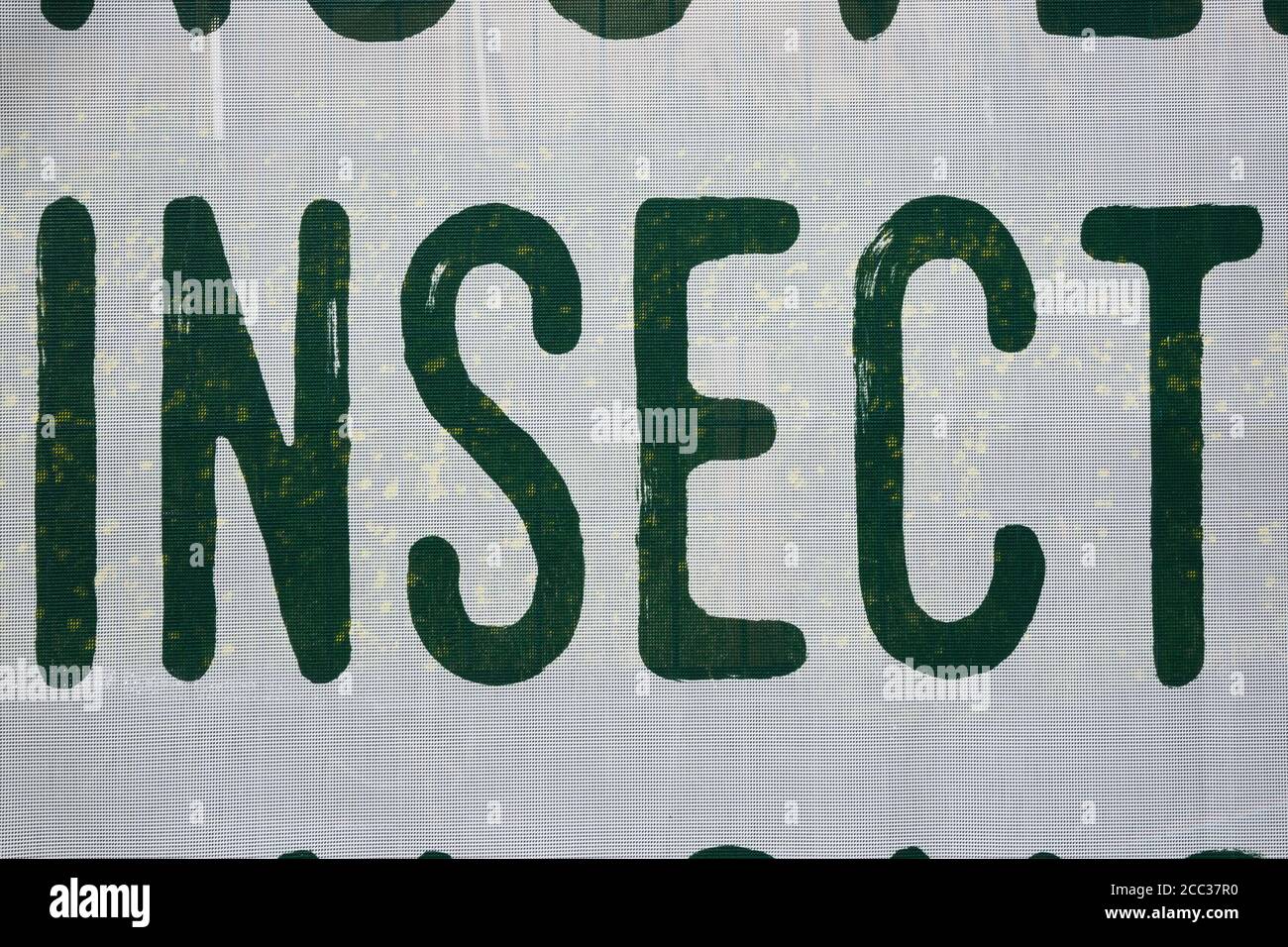 Insect word in green hand brushed onto a transparent white grid cloth ...