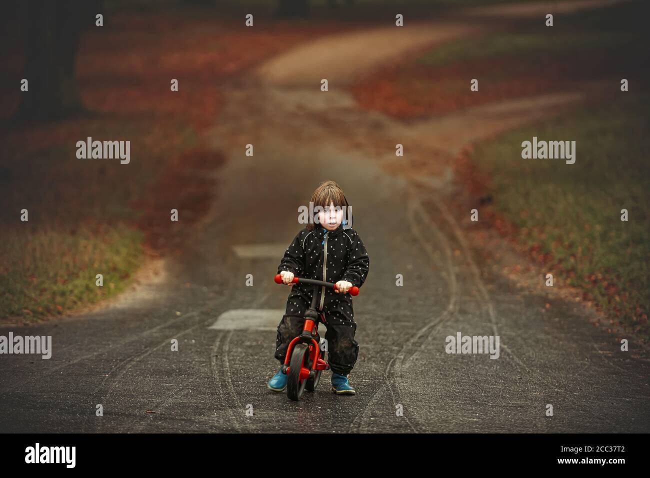 3 year old boy is cycling the red cycle in the park in autumn Stock ...
