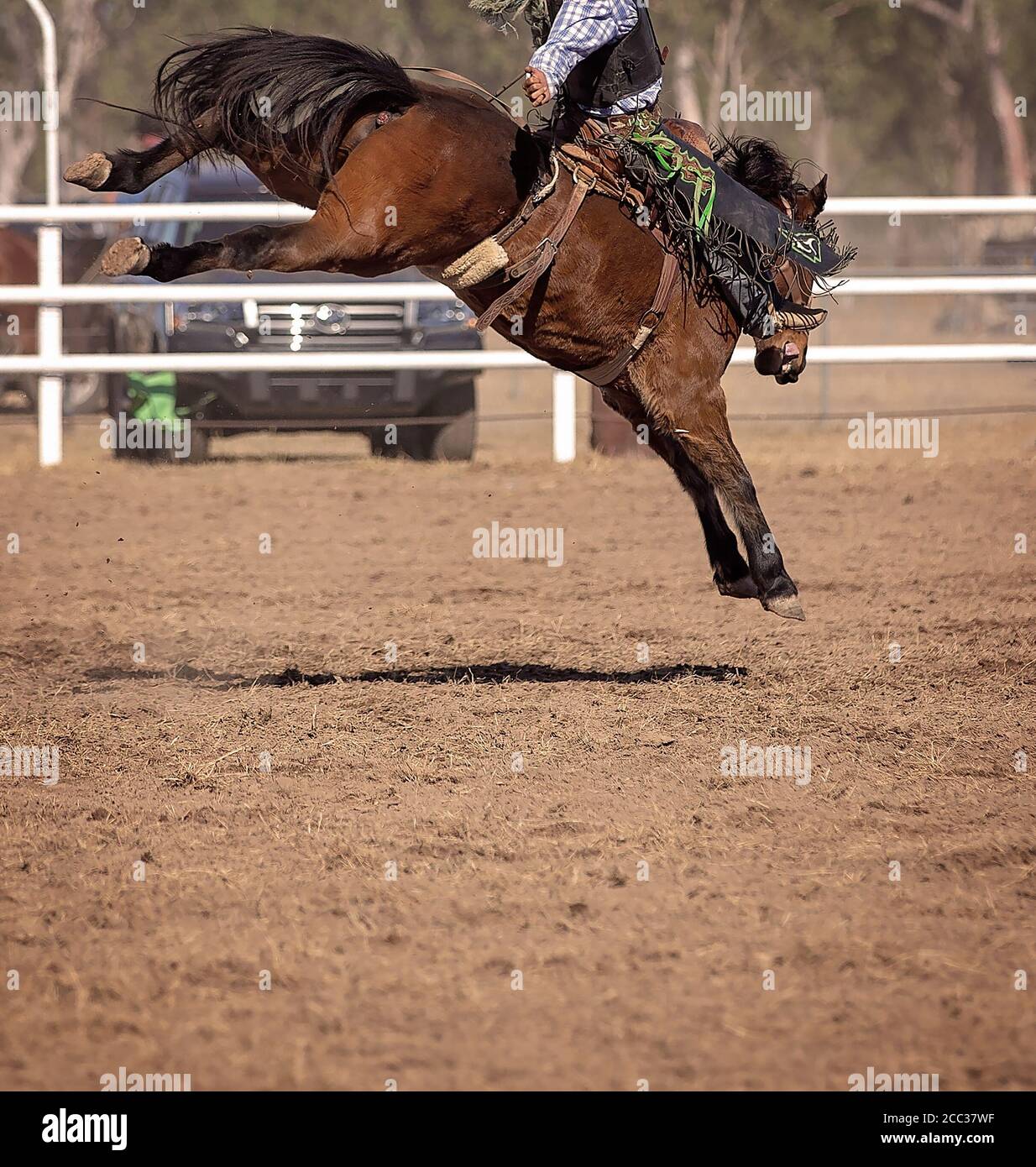 Cowboy rides a bucking bronc horse in a country rodeo event Stock Photo ...