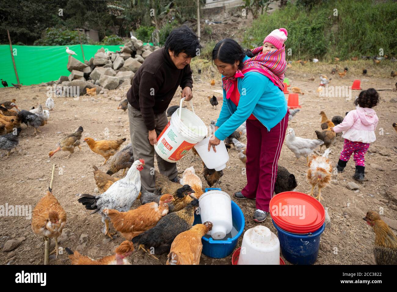 A husband and wife, who is carrying a baby on her back, work together ...
