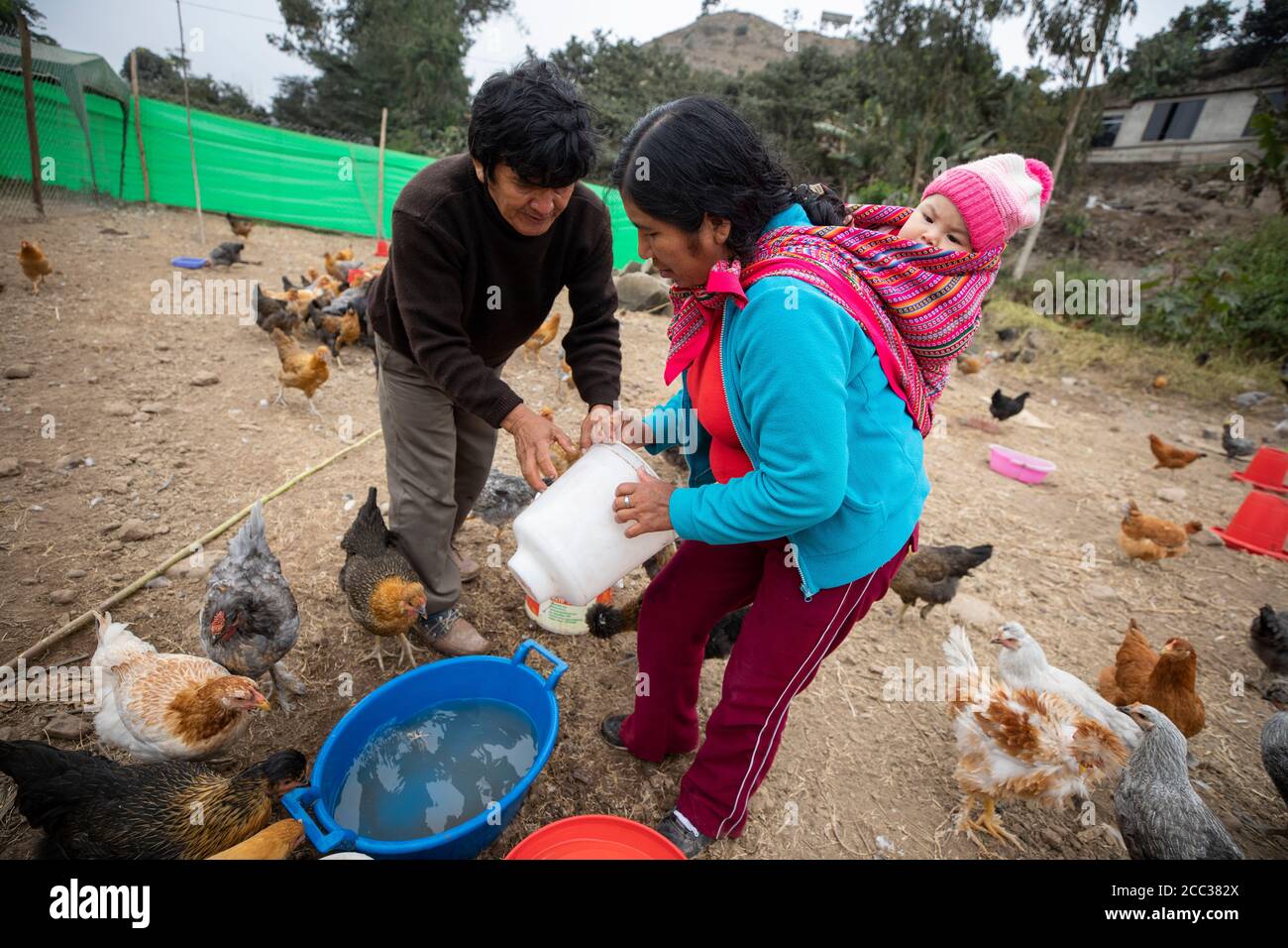 Child working american farm hi-res stock photography and images - Alamy