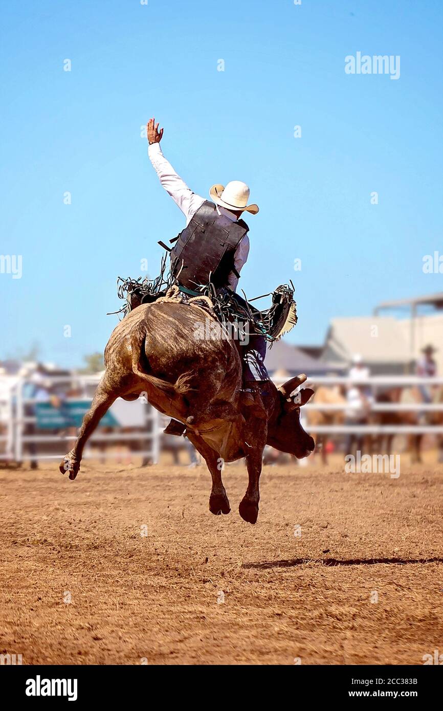 Bucking bull hi-res stock photography and images - Alamy