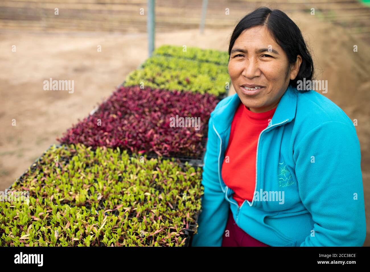 A woman smallholder farmer works to weed vegetable seedlings in her ...
