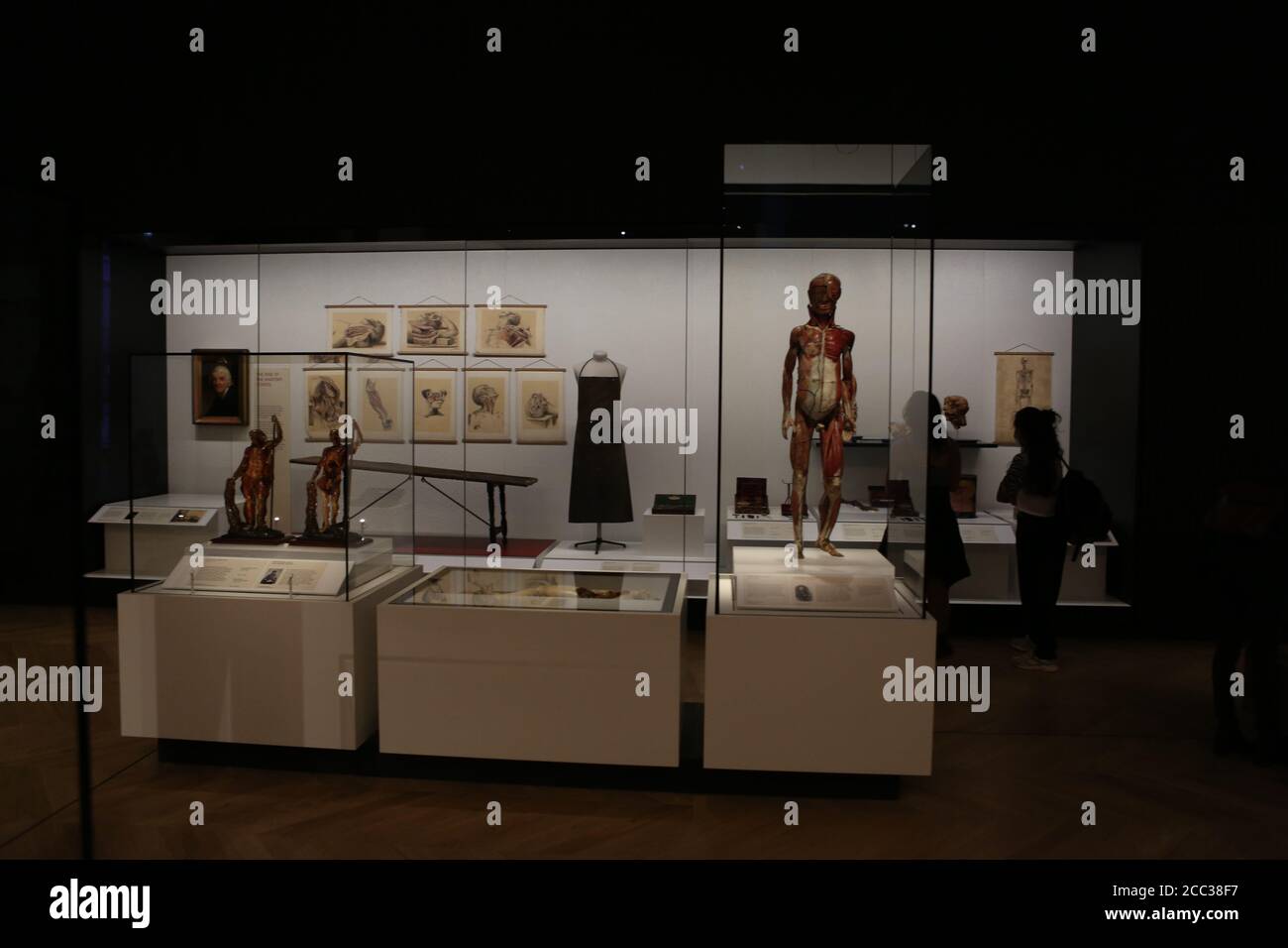 Featuring three thousand objects and covering an area equivalent to ...