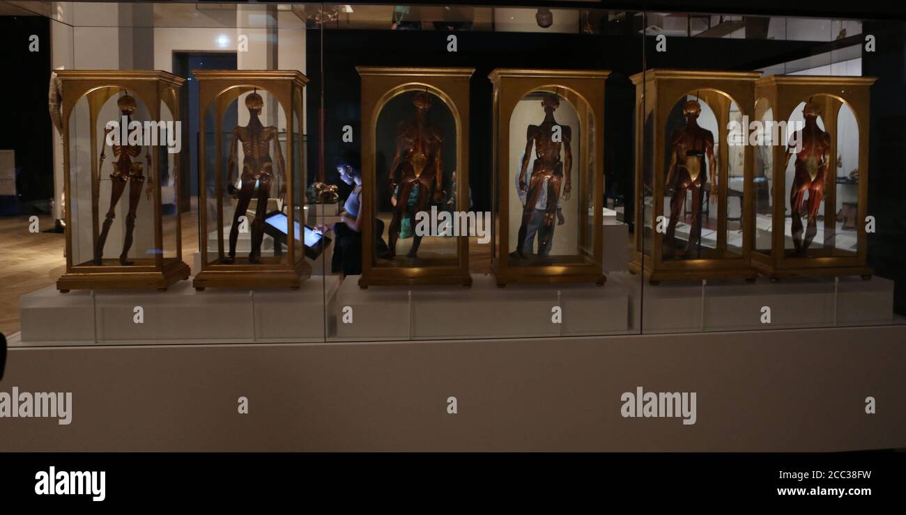 Featuring three thousand objects and covering an area equivalent to ...