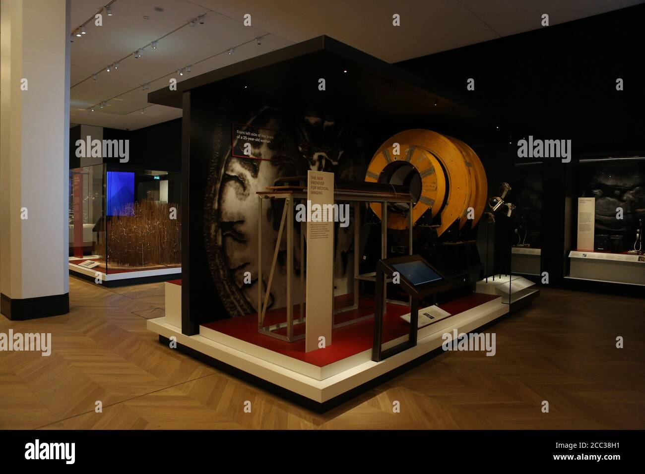 Featuring three thousand objects and covering an area equivalent to ...