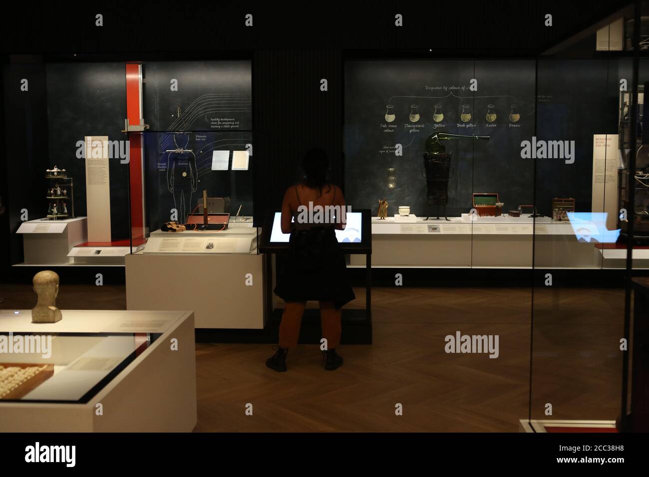 Featuring three thousand objects and covering an area equivalent to ...