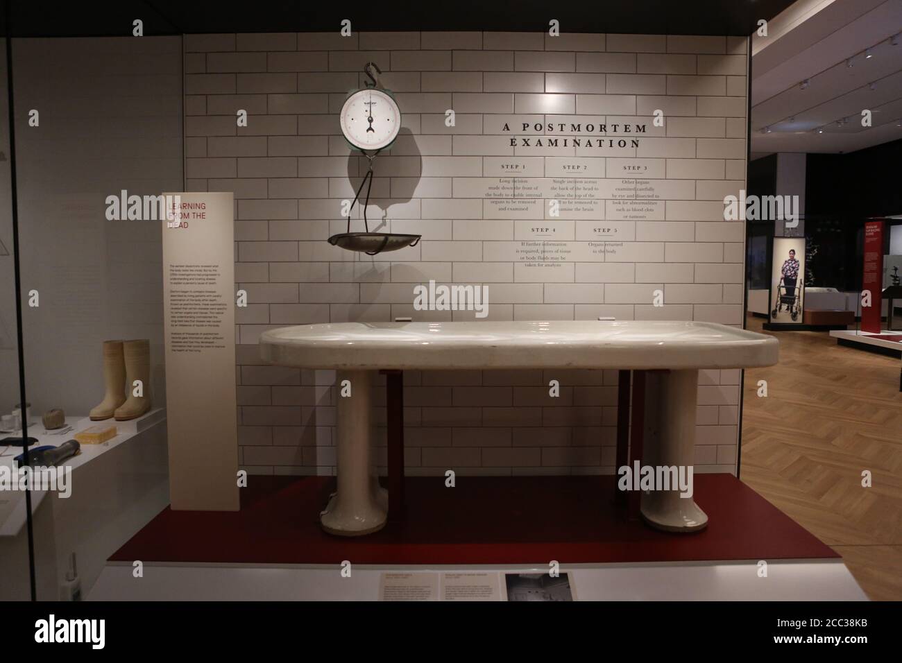 Featuring three thousand objects and covering an area equivalent to ...