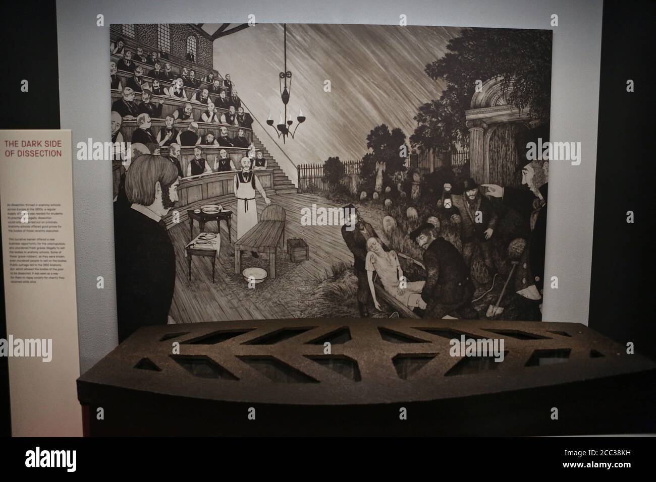 Featuring three thousand objects and covering an area equivalent to ...