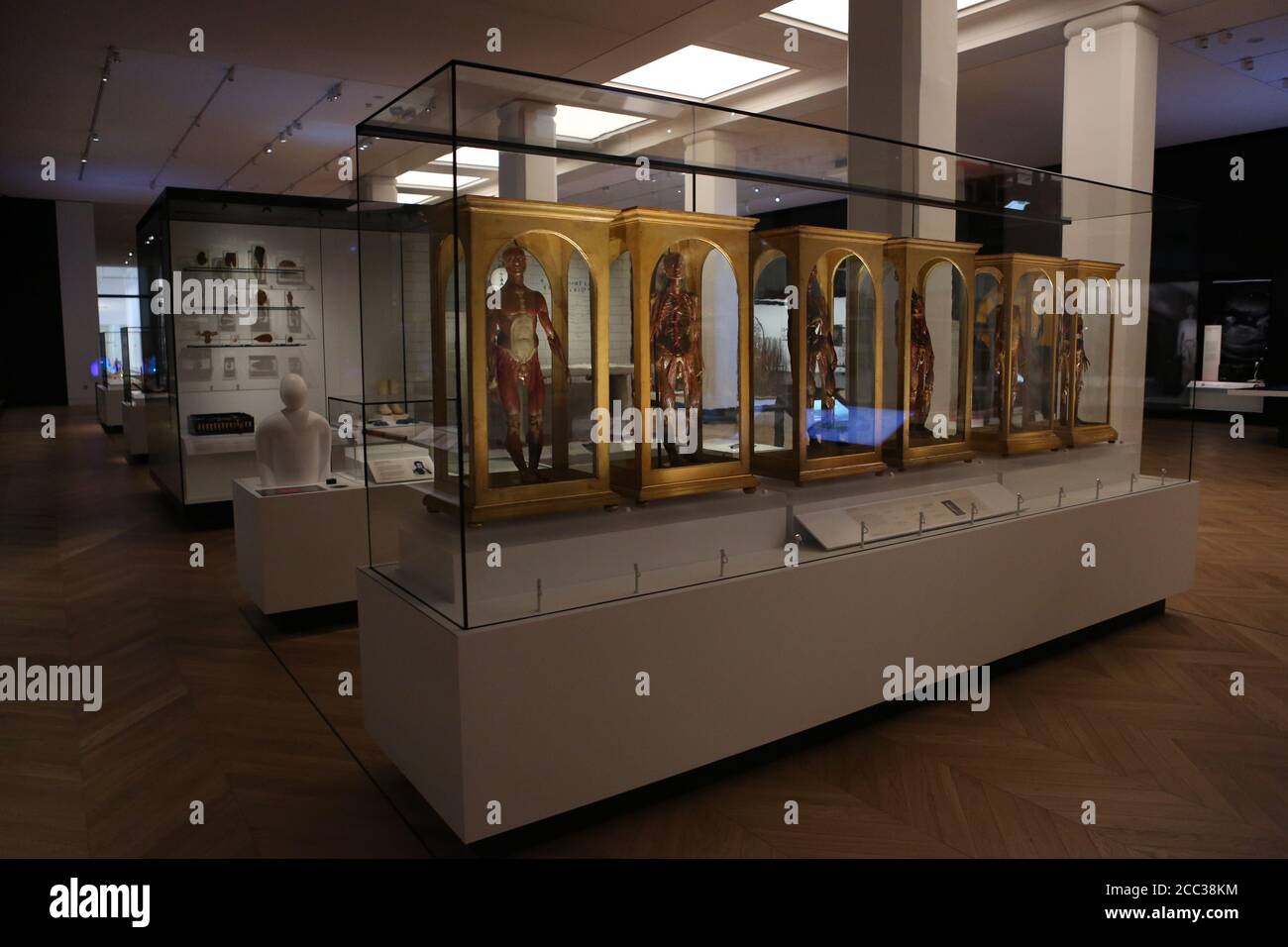 Featuring three thousand objects and covering an area equivalent to ...