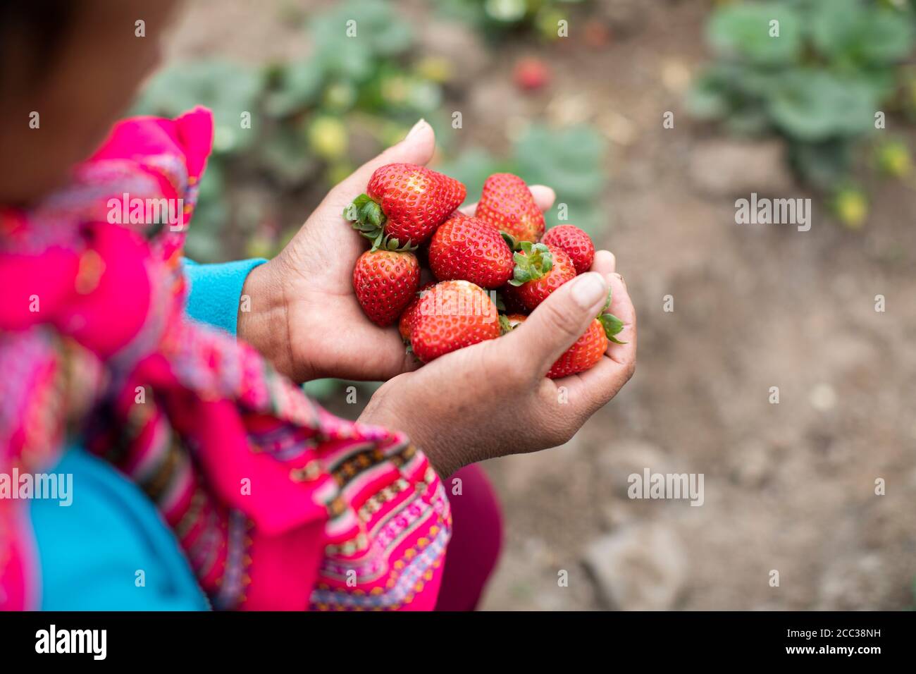 Feed the world hi-res stock photography and images - Alamy