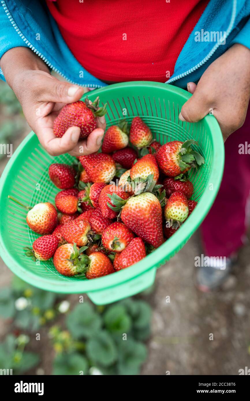 Juana Espinoza (44) is a participant in CARE and PepsiCo’s She Feed the ...