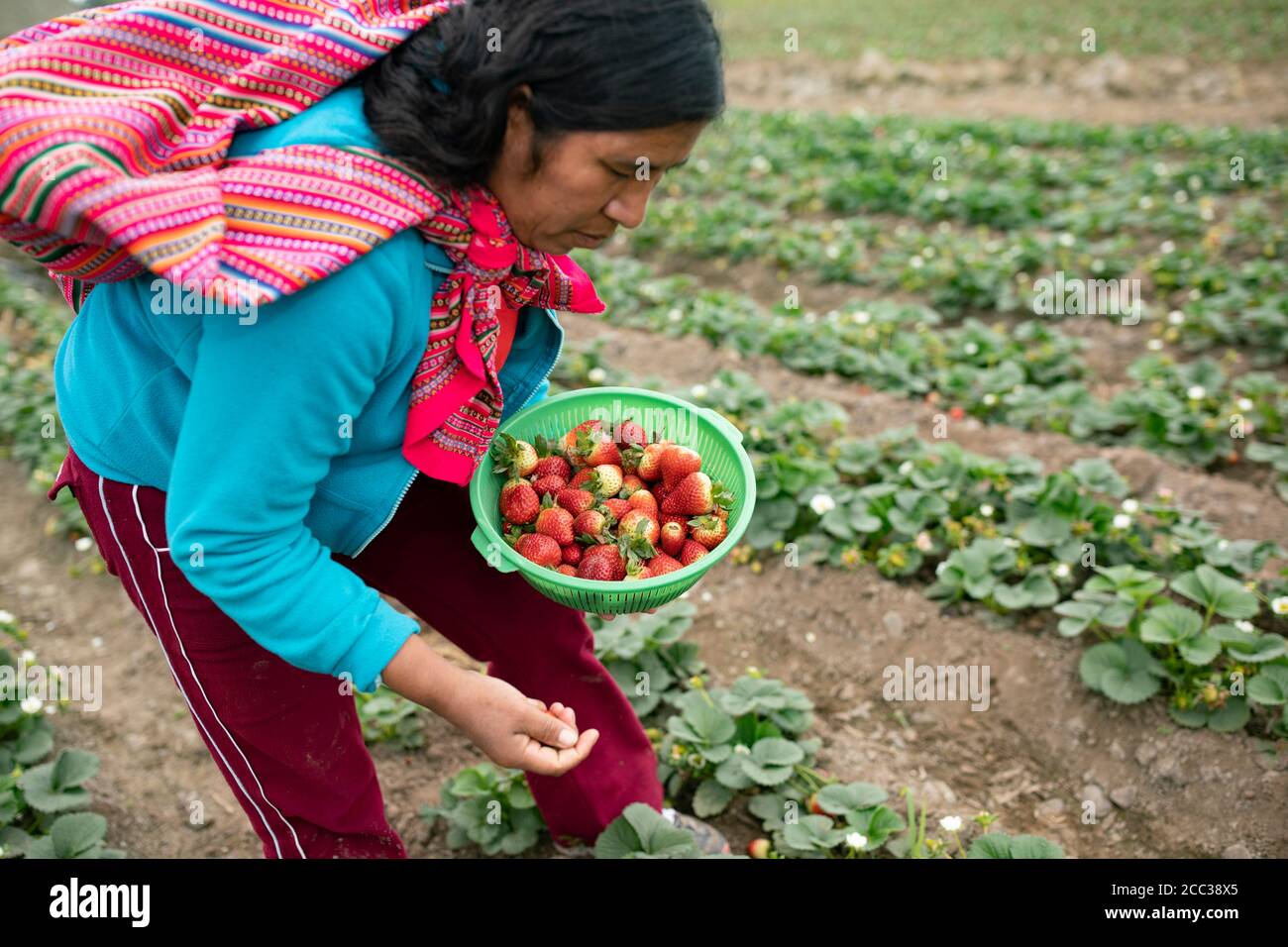 Jake lyell care hi-res stock photography and images - Alamy