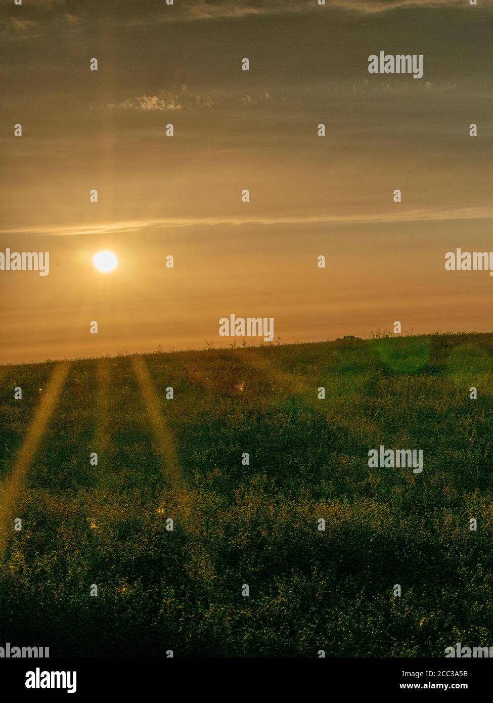 Hazy summer sky and fields hi-res stock photography and images - Alamy