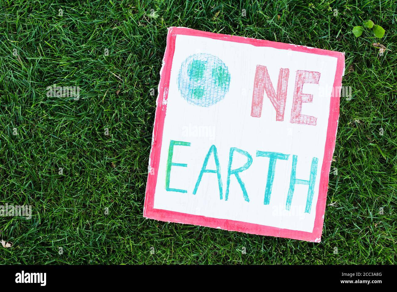 Top view of placard with one earth lettering on grass, ecology concept ...