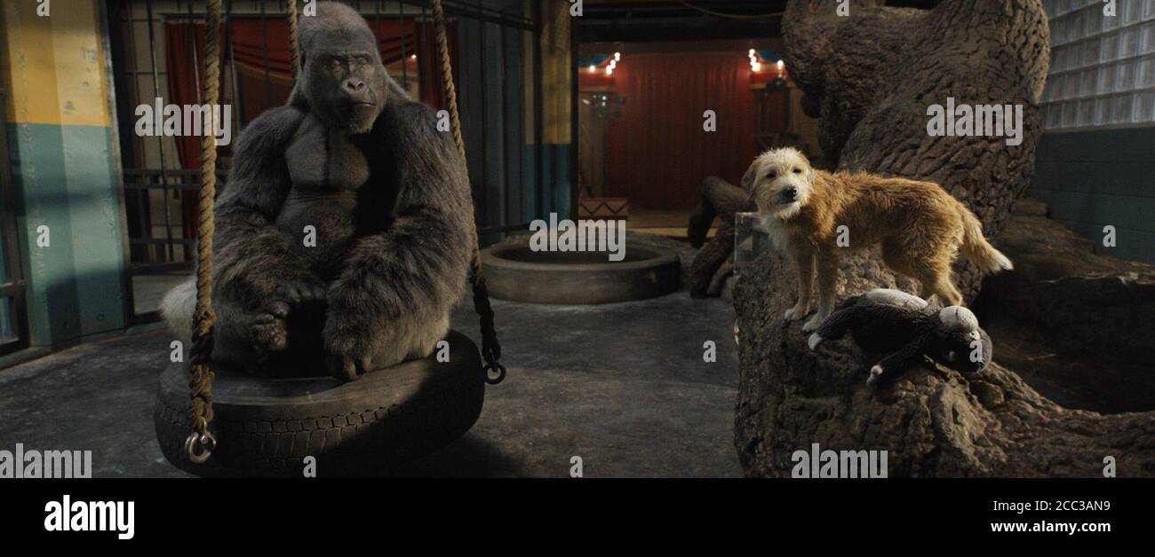 THE ONE AND ONLY IVAN, from left: Ivan (voice: Sam Rockwell), Bob the ...