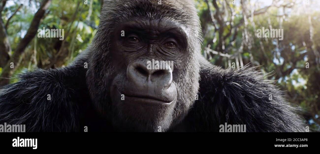 THE ONE AND ONLY IVAN, Ivan (voice: Sam Rockwell), 2020. © Disney+ ...