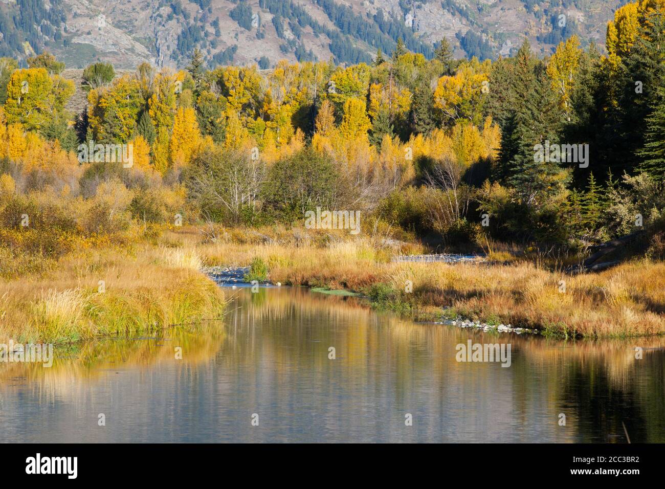 Fall trees and water to reflect Stock Photo - Alamy
