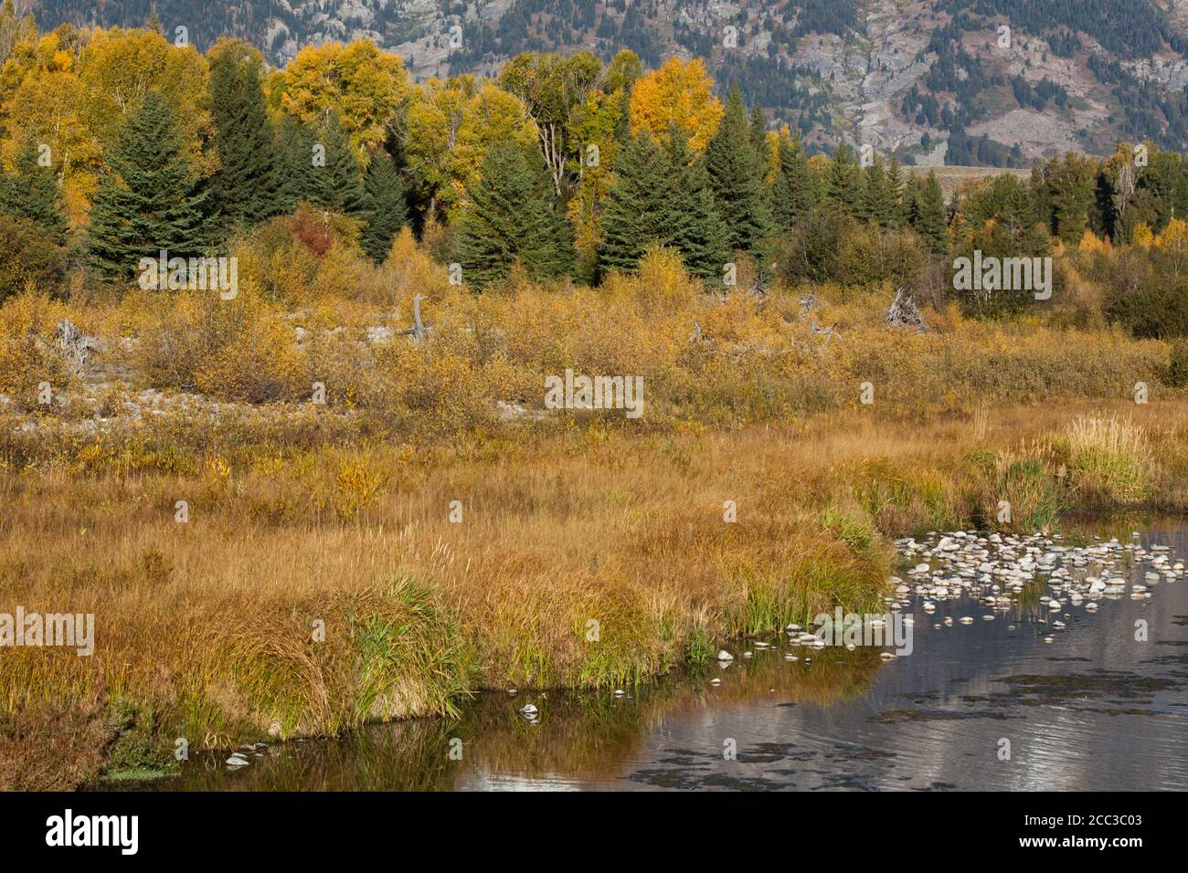 Fall trees and water to reflect Stock Photo - Alamy