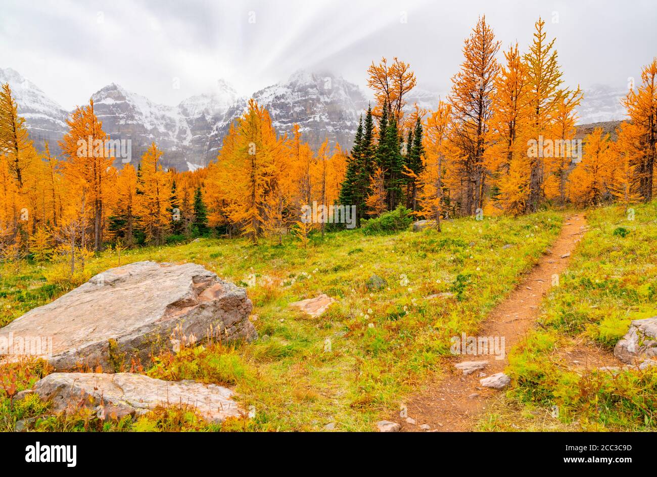 Collegiate peaks mountains hi-res stock photography and images - Alamy