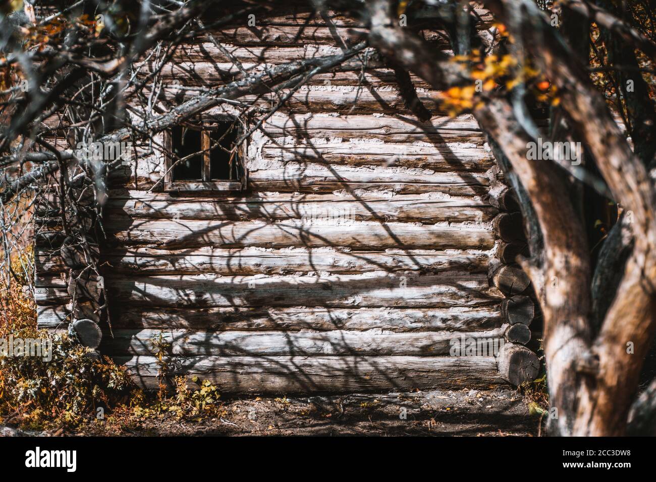 A rural scene with a shallow depth of field, selective focus on a ...