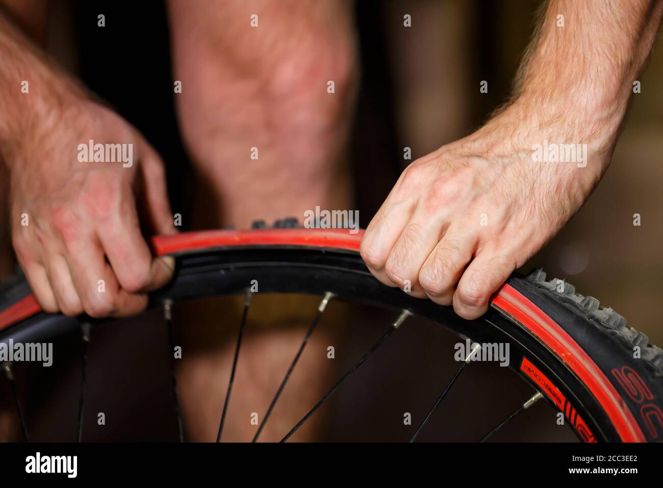 A man changes the camera on a bicycle wheel. Spike Bike Chamber Stock ...