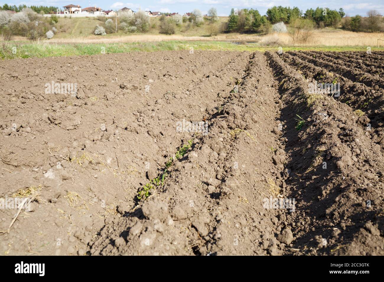 loose soil before planting vegetables on a spring day, agriculture ...