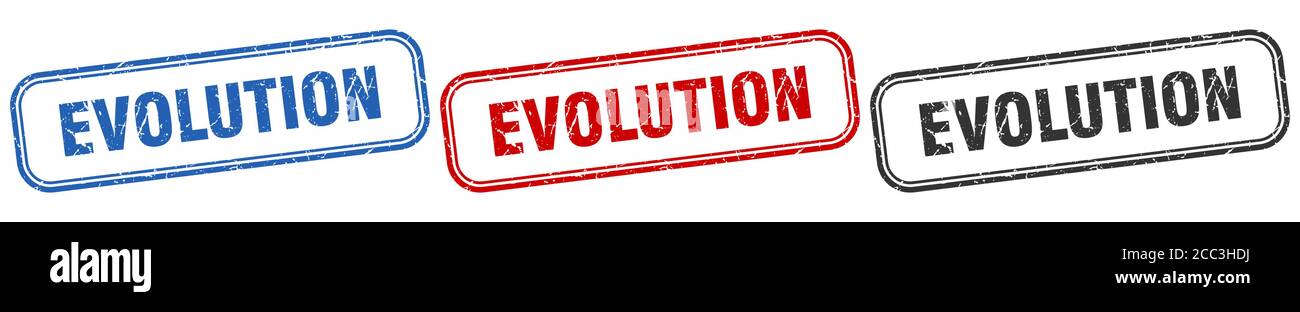 evolution square isolated sign set. evolution stamp Stock Vector Image ...