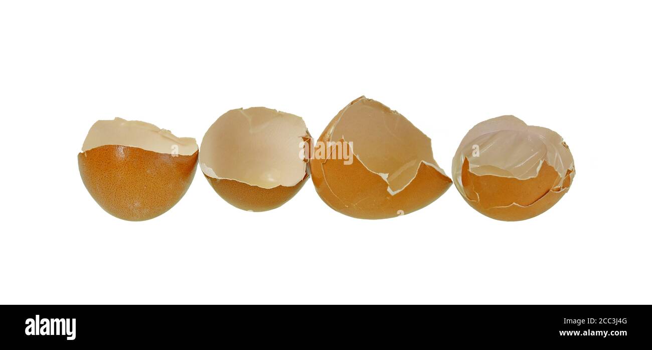Eggs shell isolated on a white background Stock Photo - Alamy