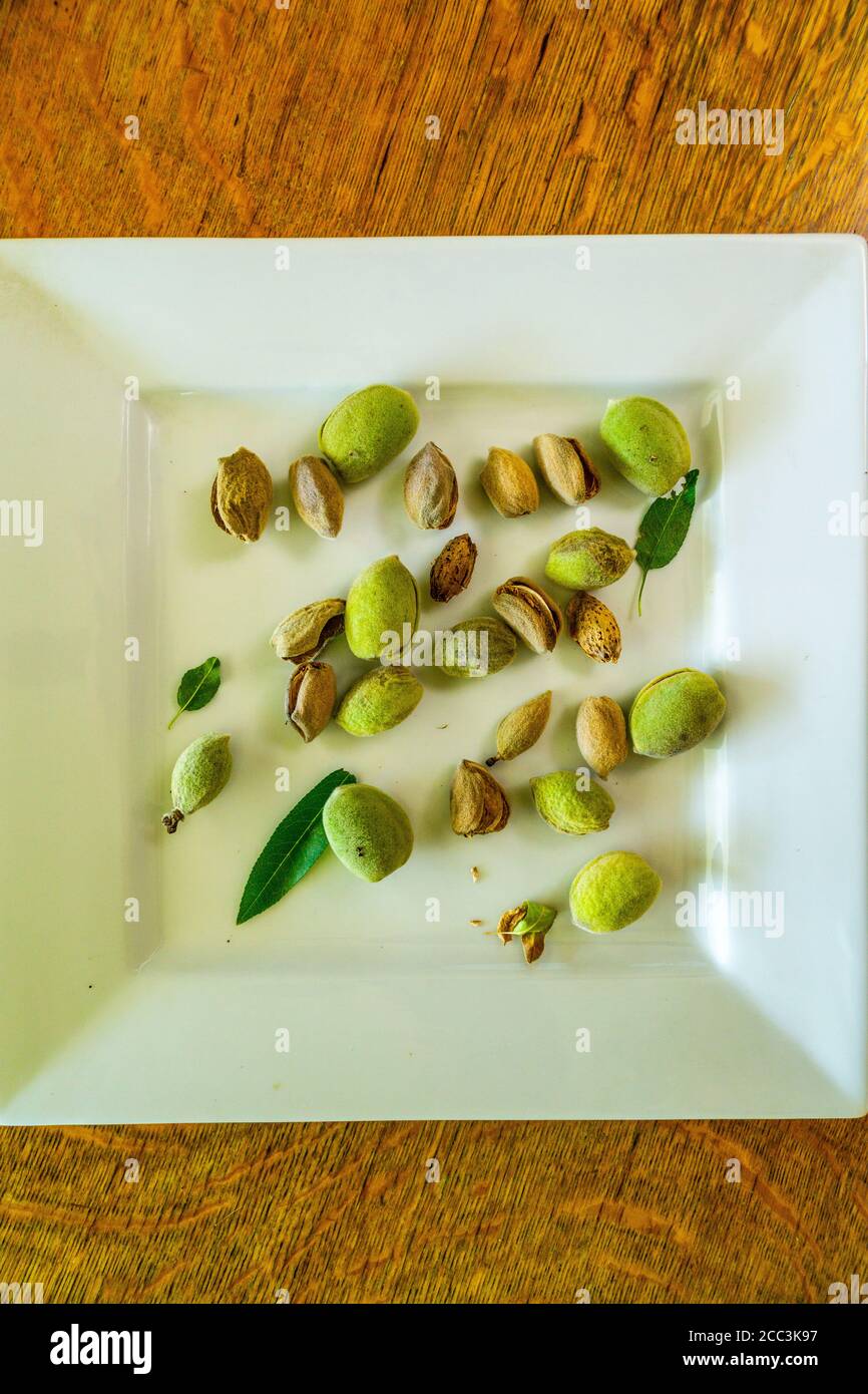 Different almond varieties in various stages of ripeness from a farm in ...