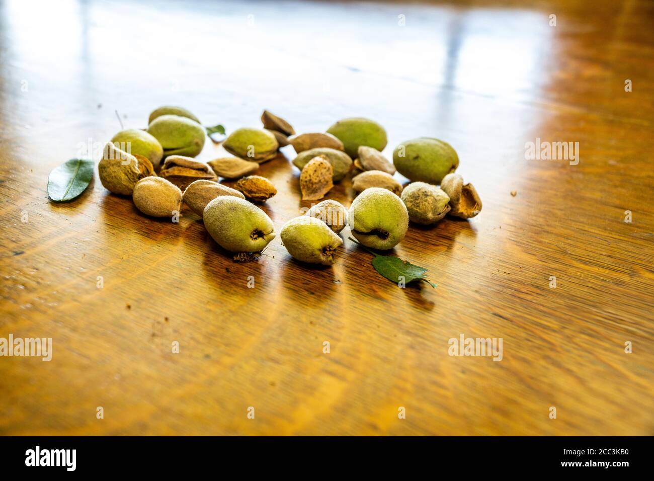 Different almond varieties in various stages of ripeness from a farm in ...