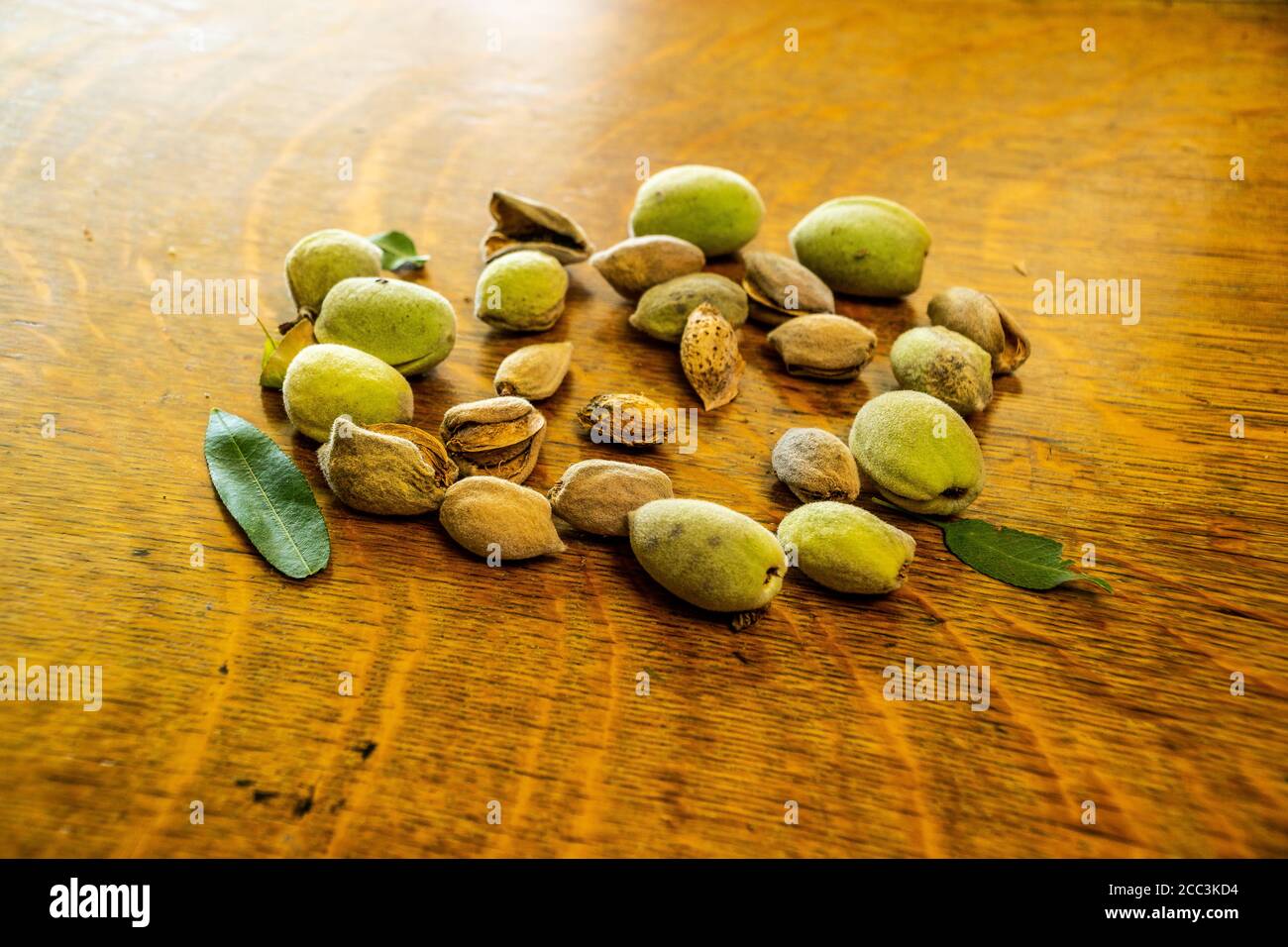 Different almond varieties in various stages of ripeness from a farm in ...