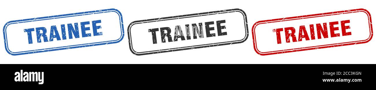 trainee square isolated sign set. trainee stamp Stock Vector Image ...
