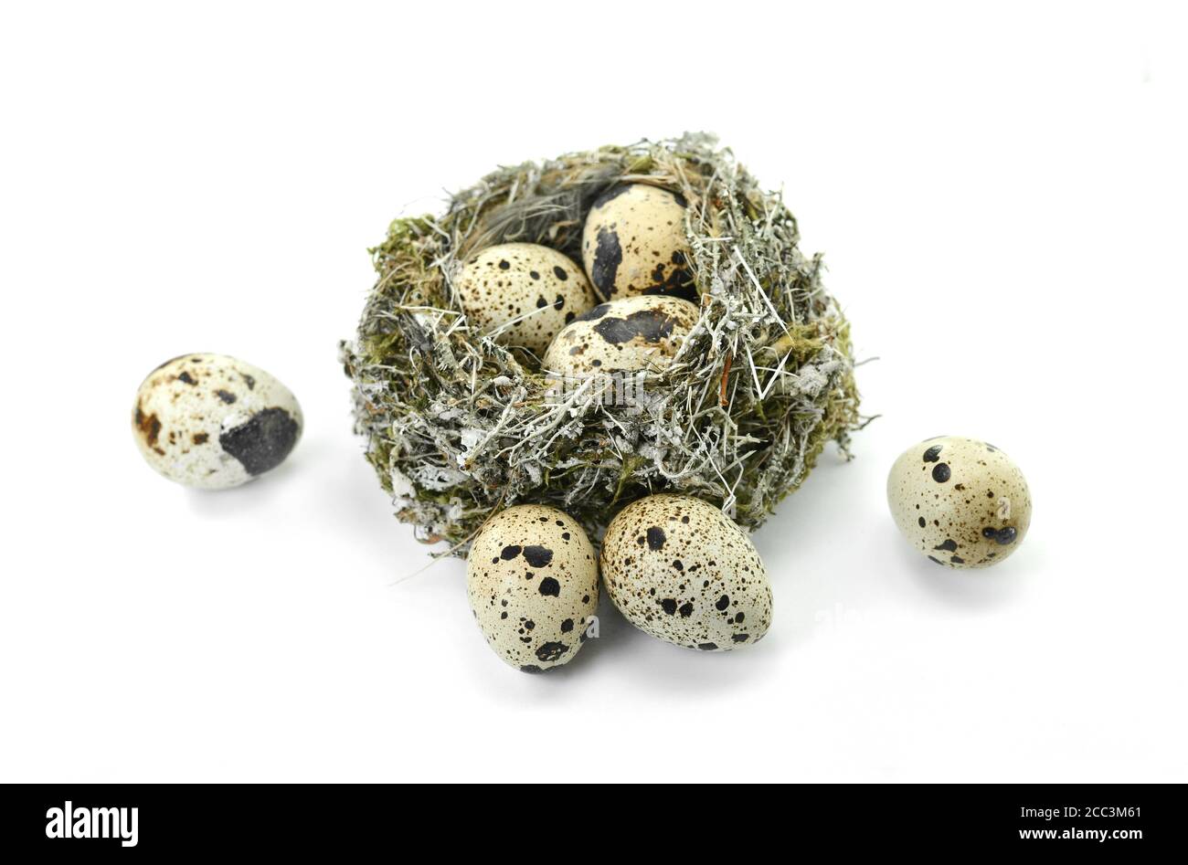 Quail eggs in a straw nest isolated on white background Stock Photo - Alamy