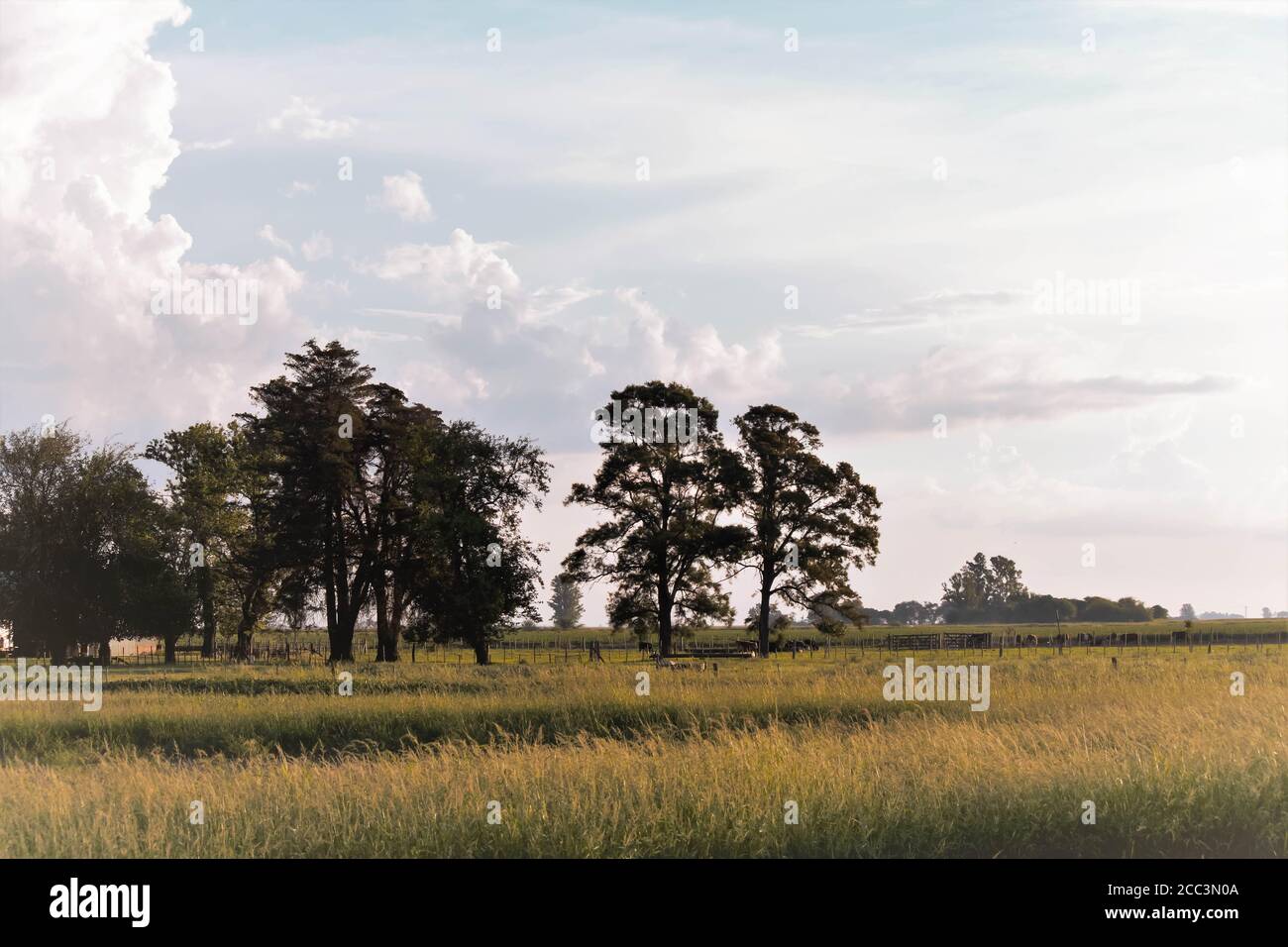 Family argentina countryside hi-res stock photography and images - Alamy