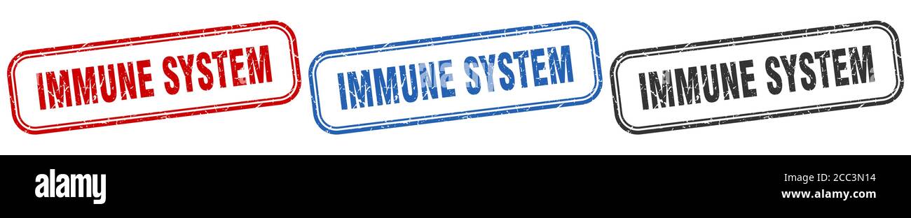 immune system square isolated sign set. immune system stamp Stock ...