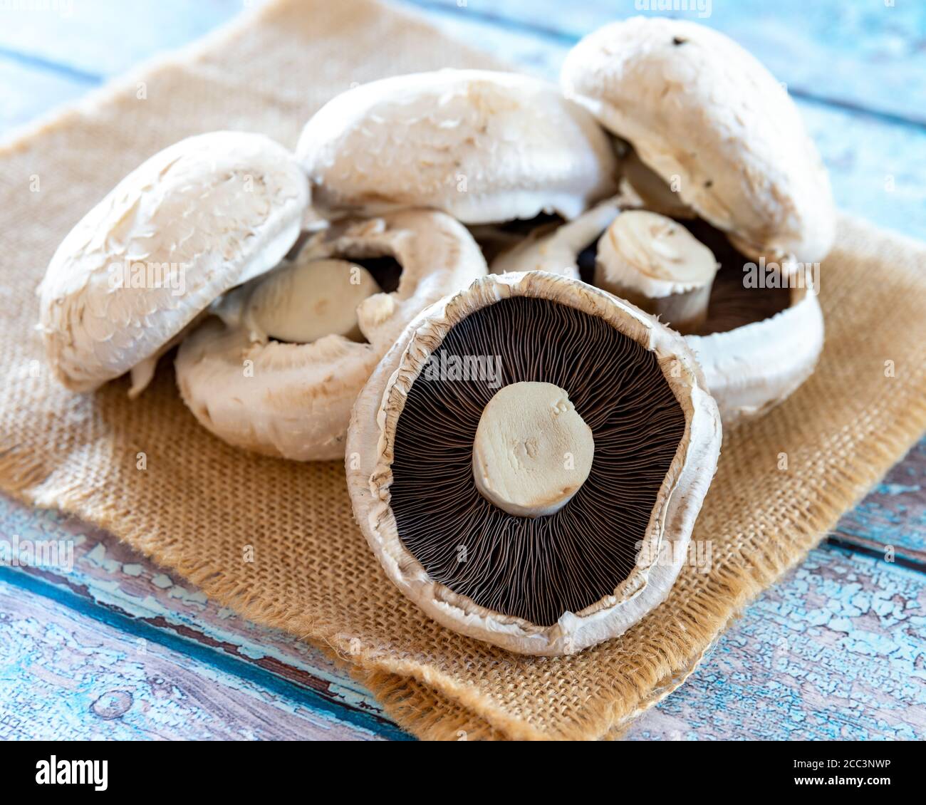 Flat mushrooms hi-res stock photography and images - Alamy