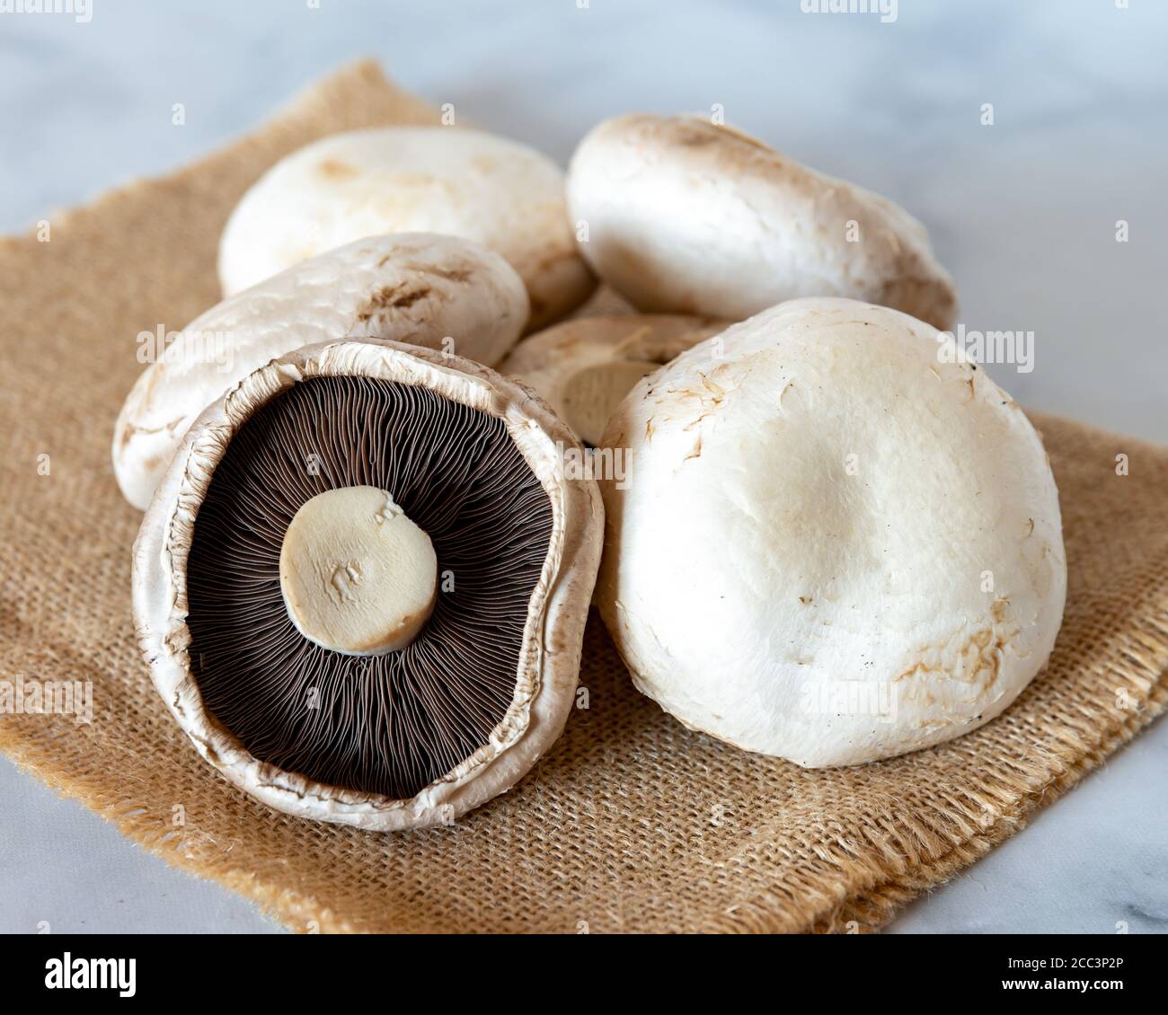 Flat mushrooms hi-res stock photography and images - Alamy