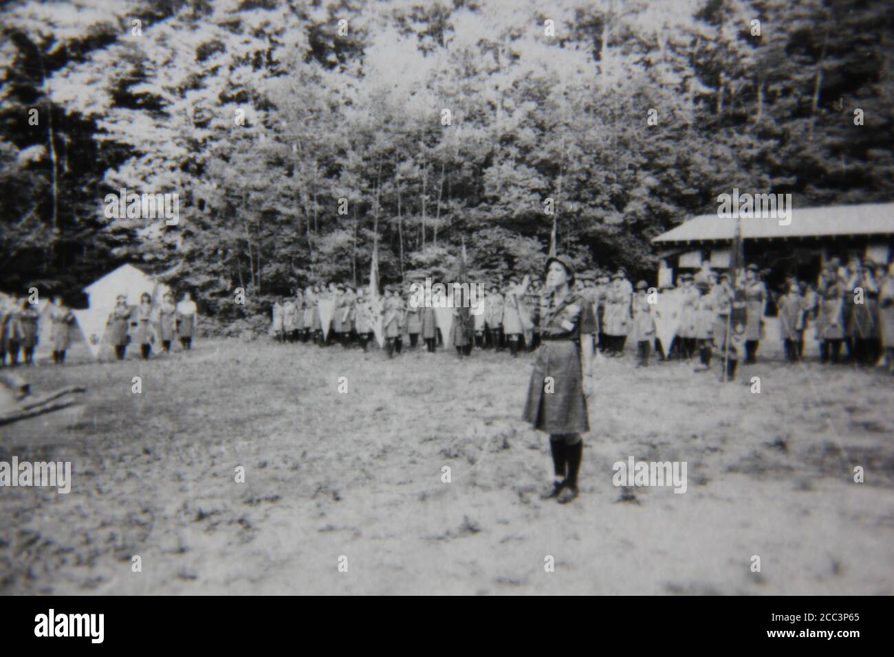 Fine 1970s vintage black and white photography of girl scouts marching ...