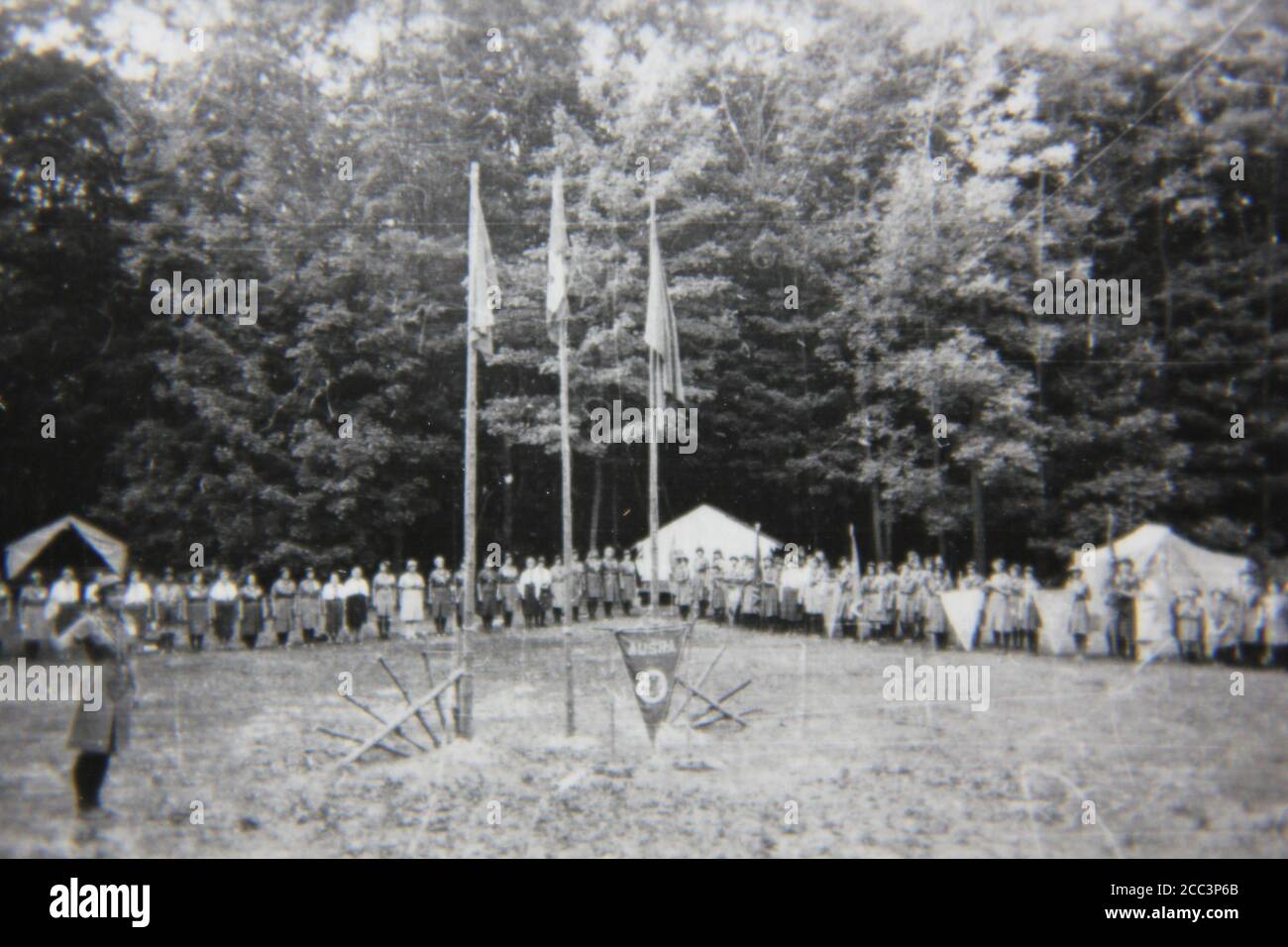 Fine 1970s vintage black and white photography of girl scouts marching ...