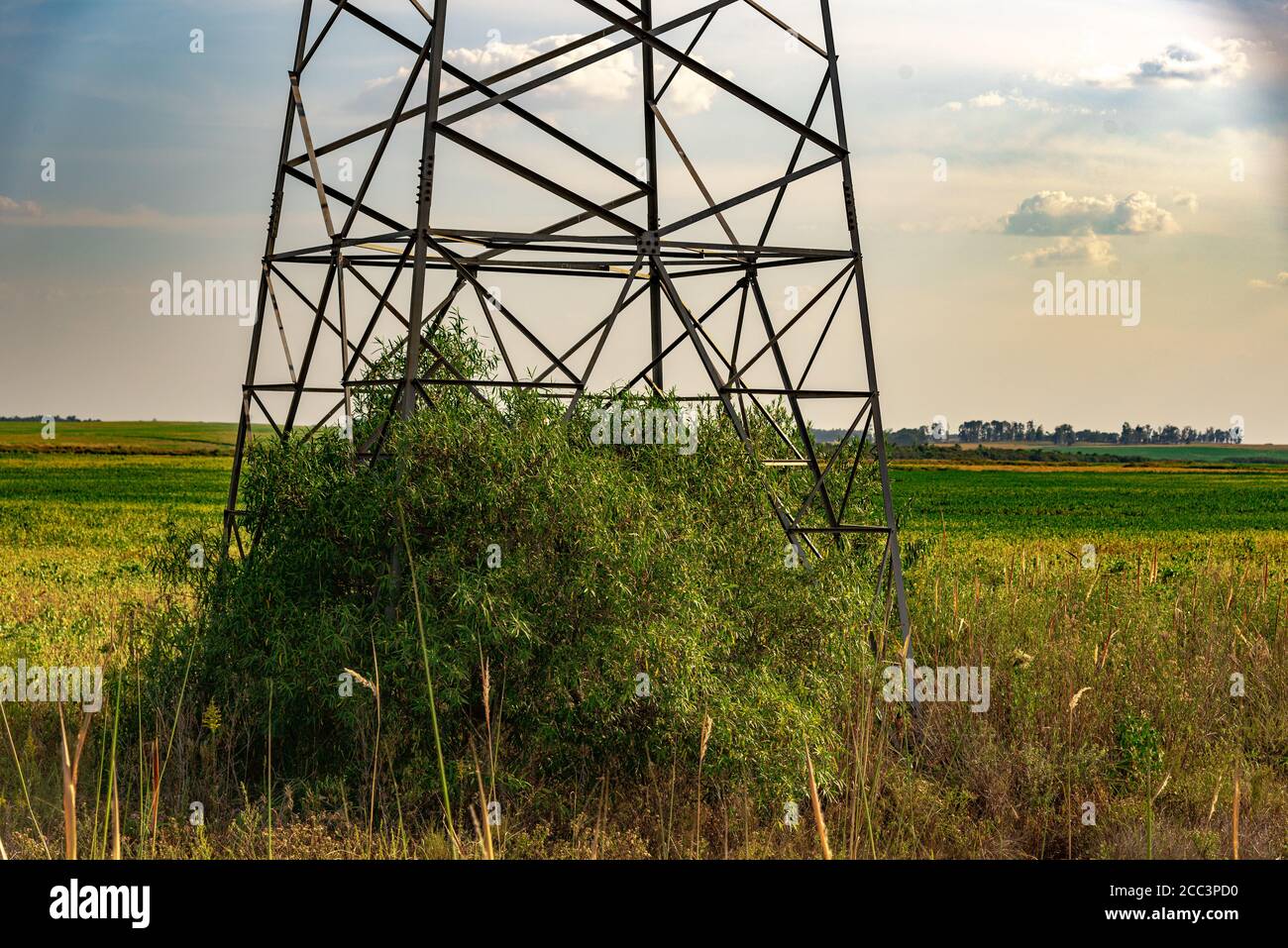 Electricity towers. electricity transmission lines. Energy ...