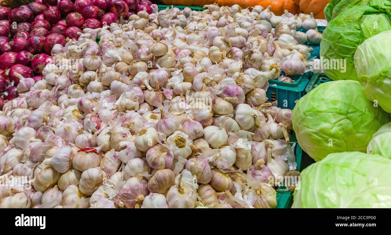 Some plants of the genus Allium are designated as garlic, a perennial ...