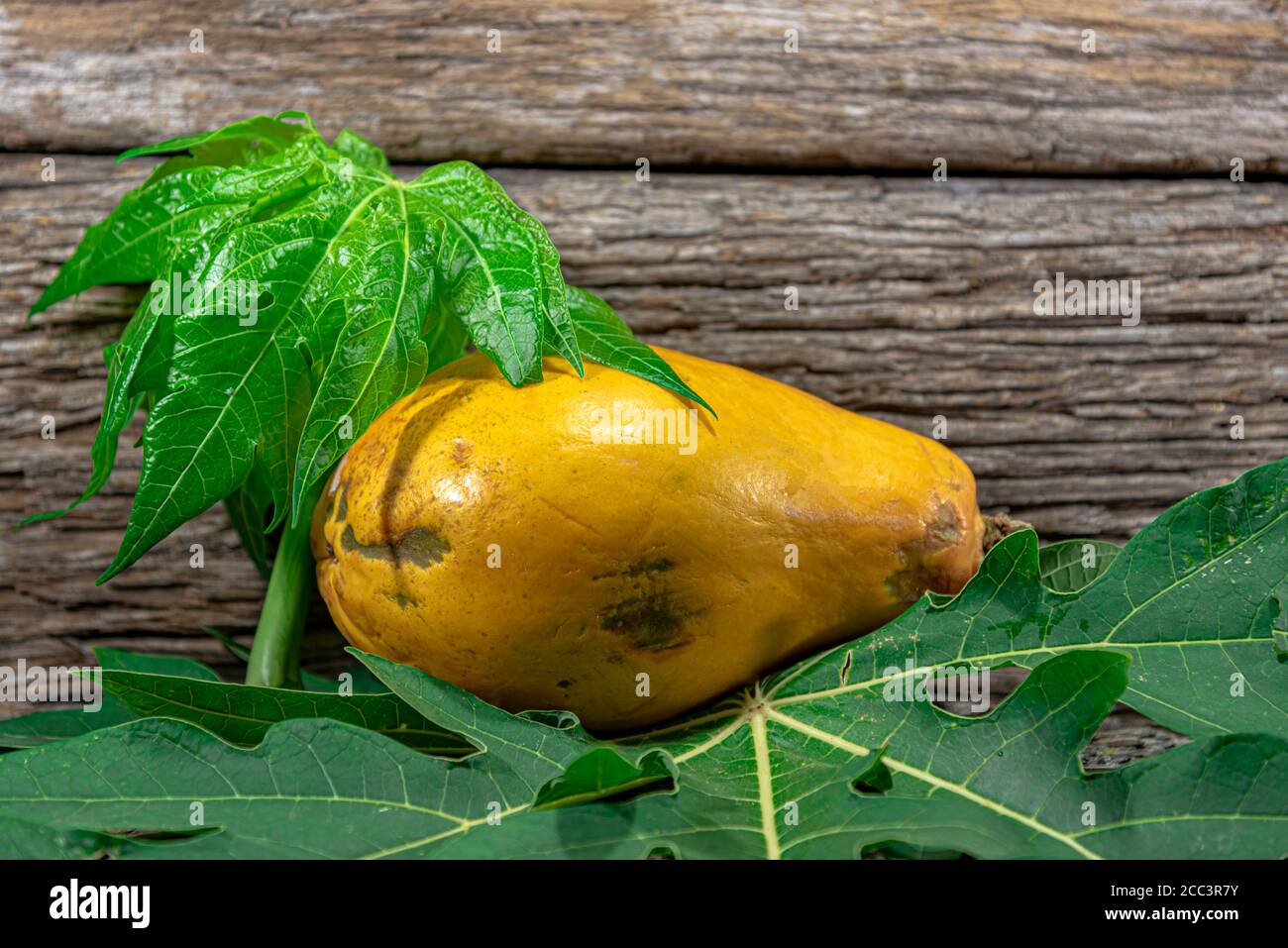Papaya Formosa (Carica papaya). Natural food. Papaya fruit. Carica ...