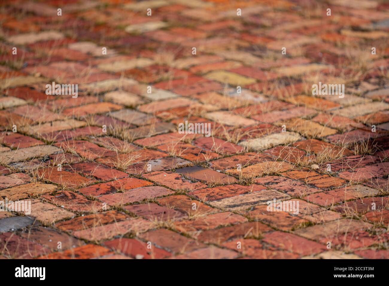 Weed overgrowth between red brick ground Stock Photo - Alamy