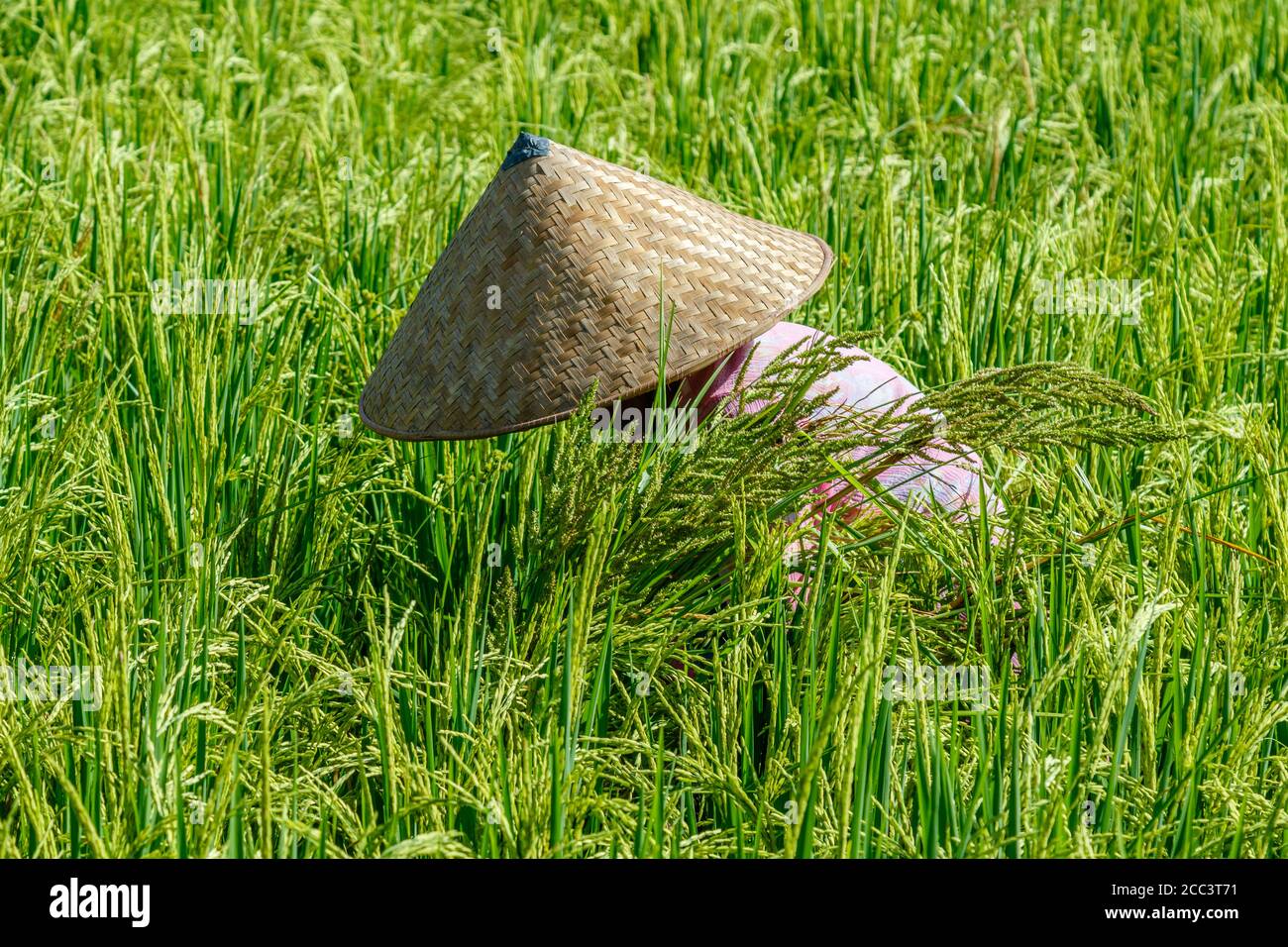 Farmer traditional straw hat in hi-res stock photography and images - Alamy
