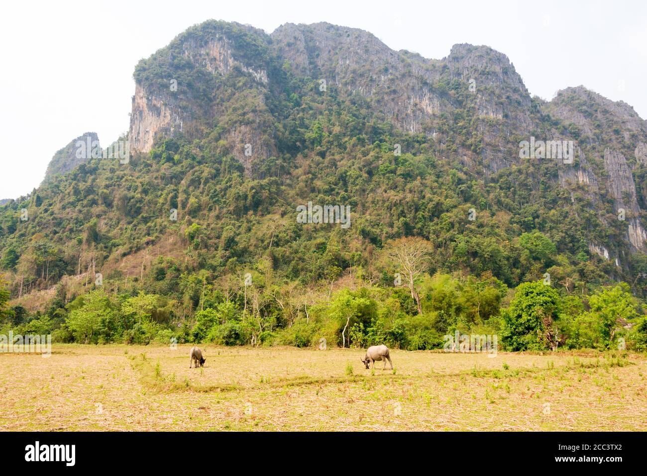 Vang Vieng, Laos - Nature image of Vang Vieng. a famous Landscape in ...